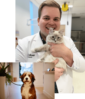 Accreditations | Small Door Veterinary