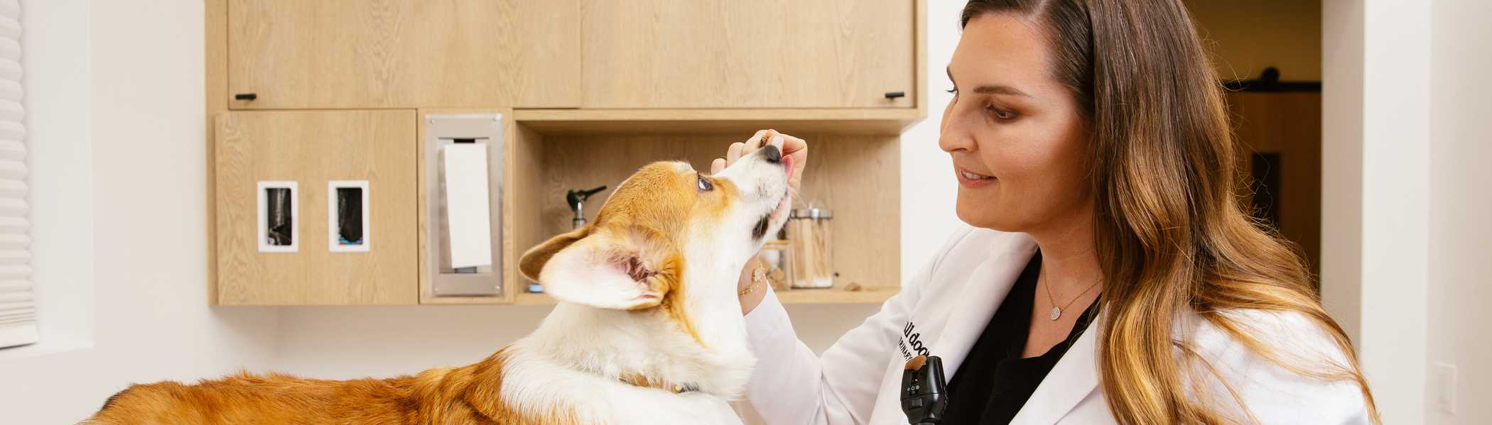 Veterinarian Careers & Benefits | Small Door Veterinary