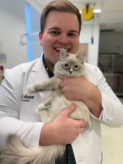 Veterinary Services in New York, NY | Small Door Veterinary