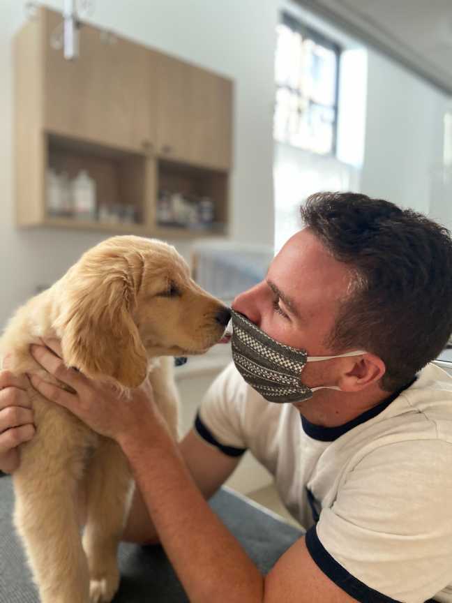 Veterinary Services in New York, NY | Small Door Veterinary